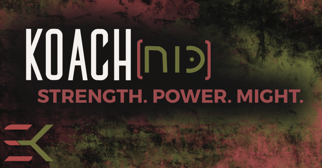 Strength Koach – Professional Fitness Systems